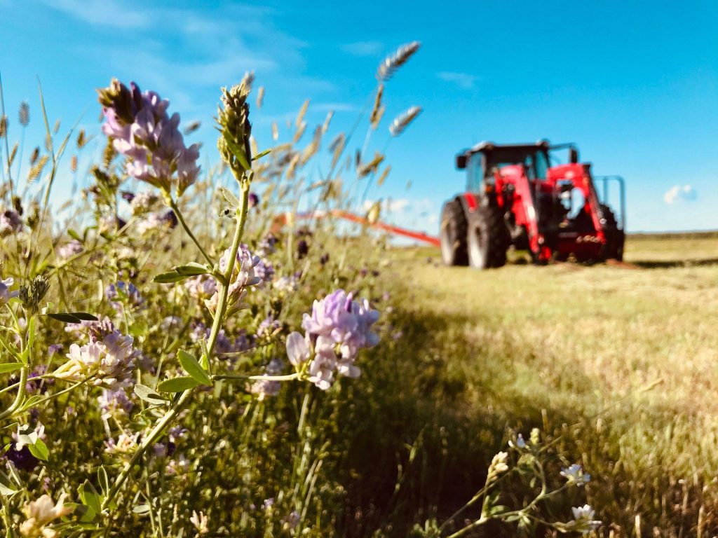 Farmland Legacies, Saskatchewan | Foodlands Cooperative of BC